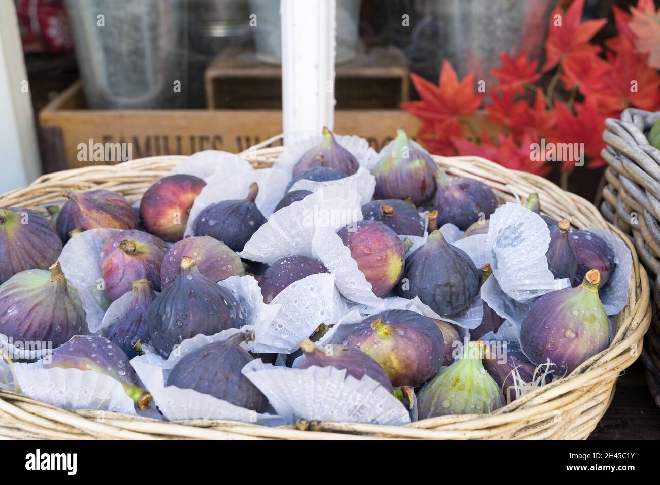 Raw and fresh figs (Ficus carica) picked for Harvest celebration London ...