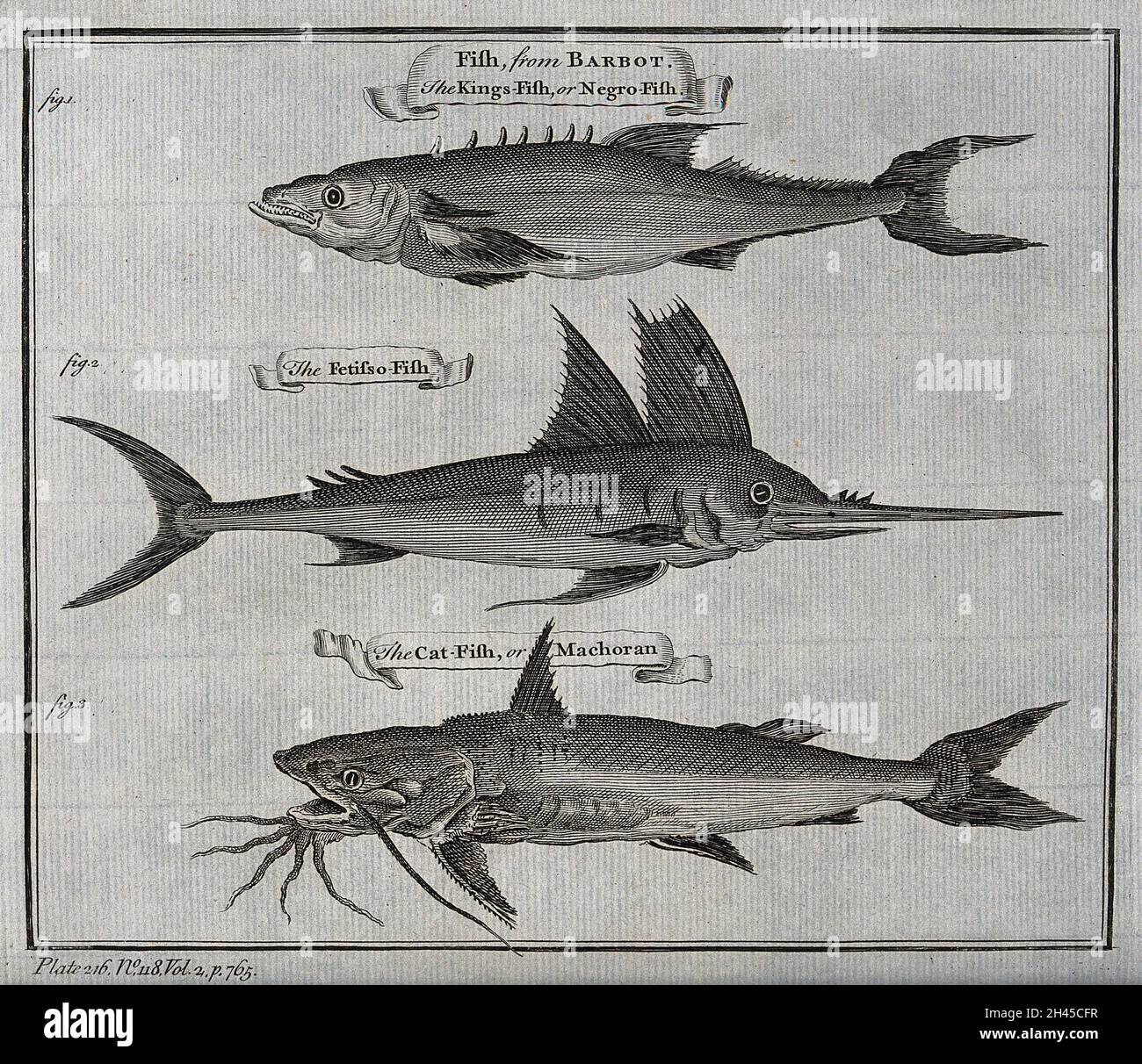 Fish etching hi-res stock photography and images - Alamy