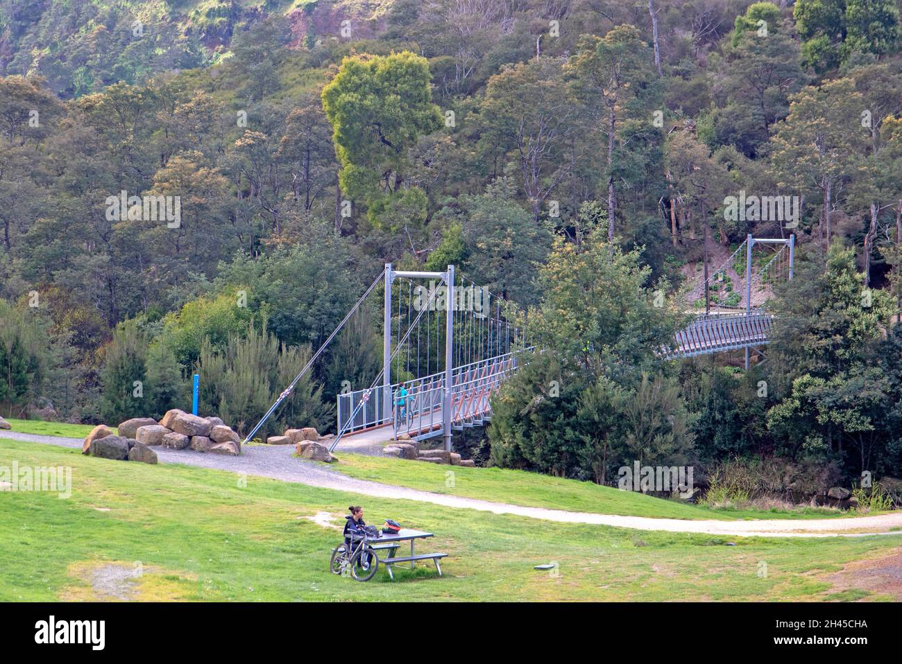 Bridge across the Ringarooma River at Derby Stock Photo - Alamy