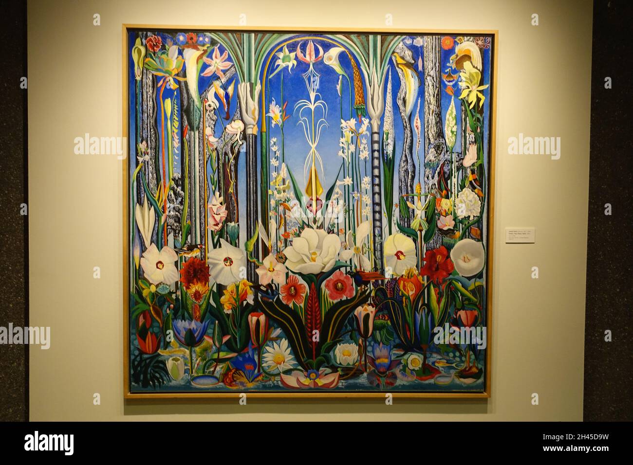 Phoenix art museum in Down town Phoenix Stock Photo - Alamy