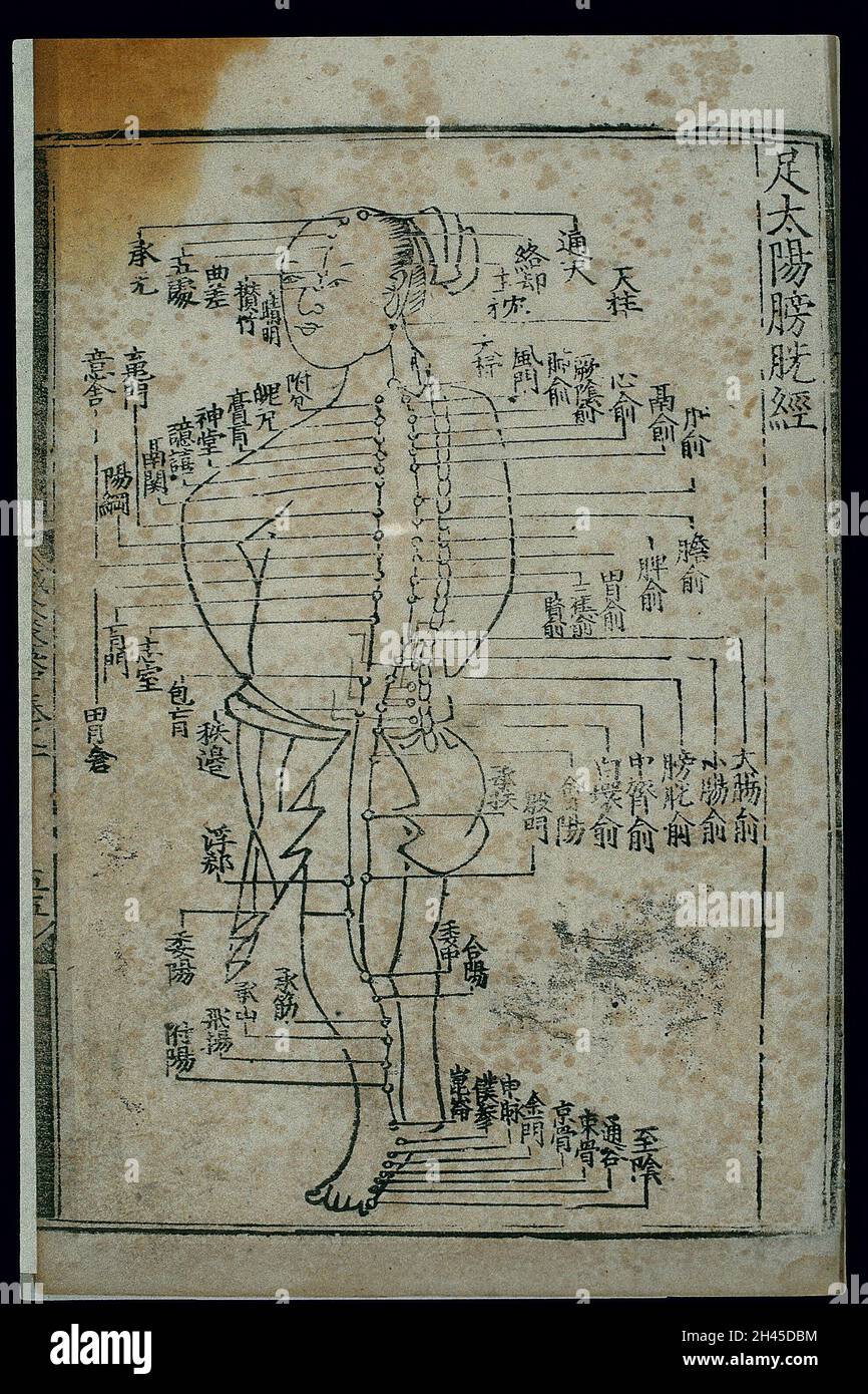 Acupuncture chart, bladder channel of foot taiyang, Chinese Stock Photo ...