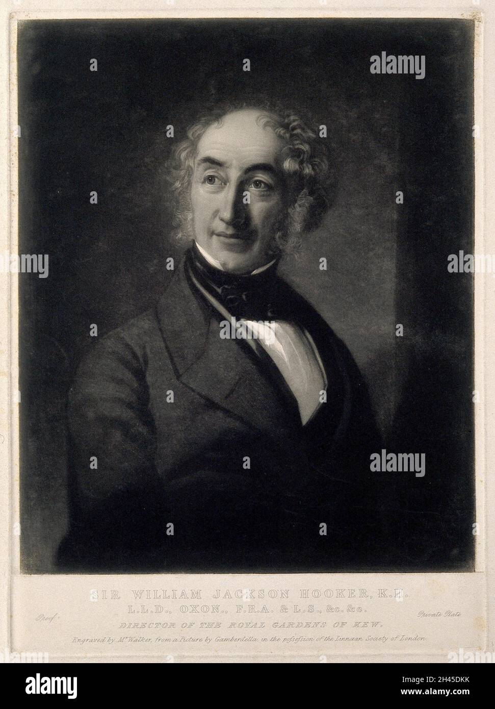 Sir William Jackson Hooker. Mezzotint by W. Walker after S. Gambardella ...