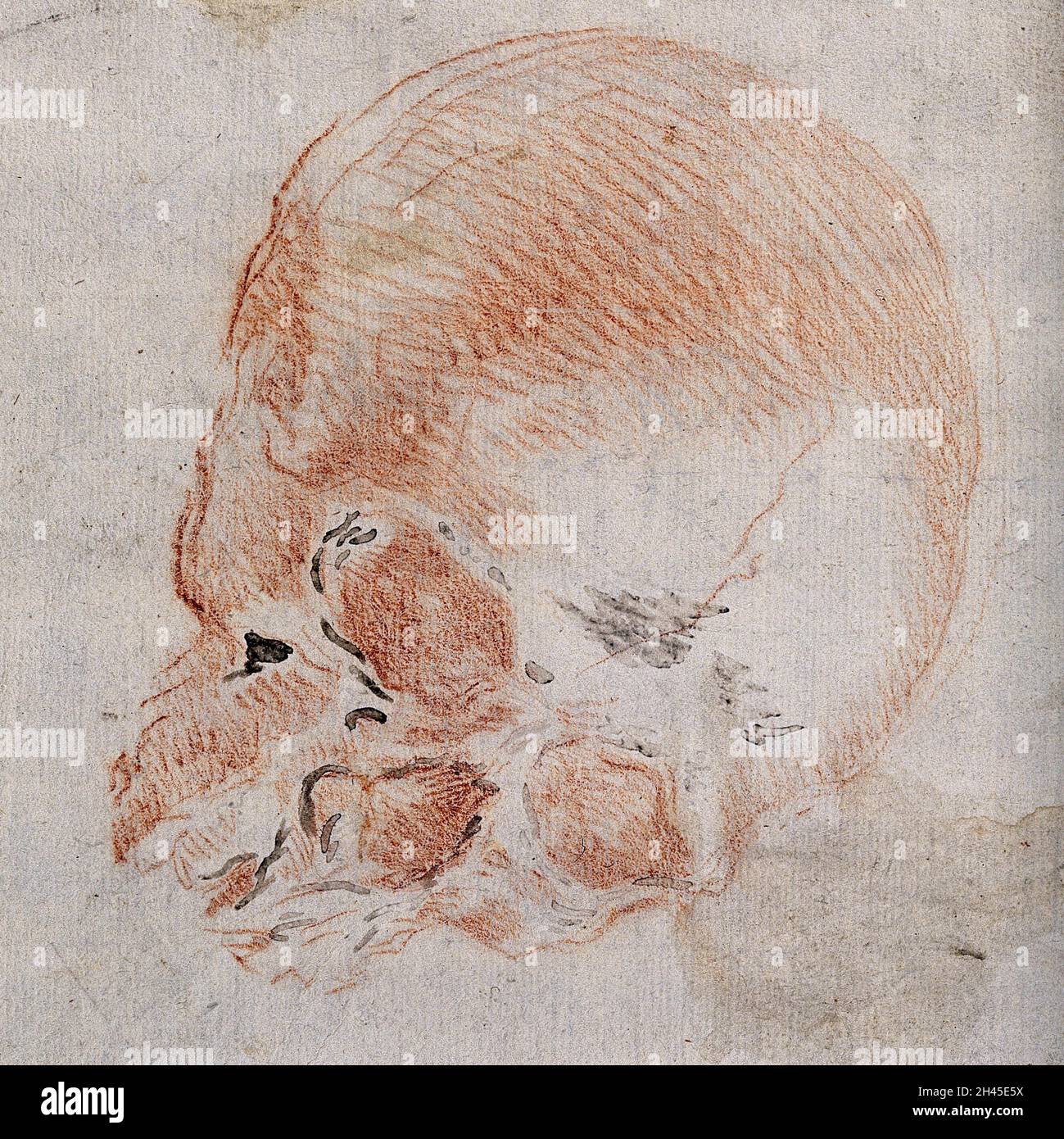 A skull. Red chalk drawing Stock Photo - Alamy