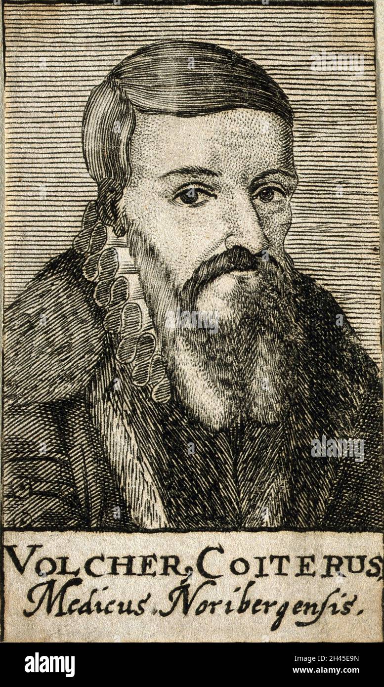 Volcher Coiter. Line engraving, 1688 Stock Photo - Alamy