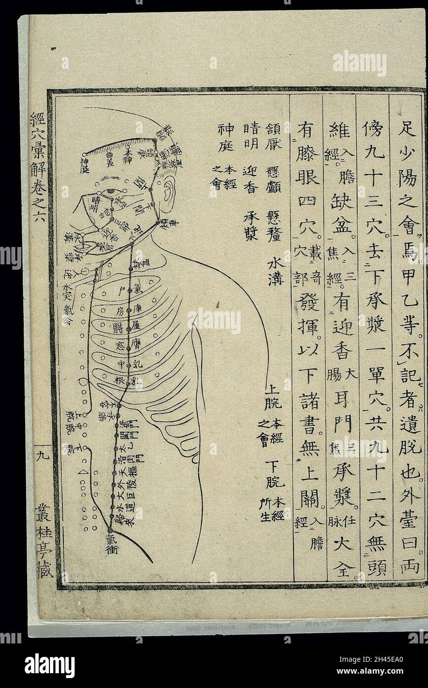 Acu-moxa chart: Stomach channel of foot yangming, Japanese Stock Photo ...