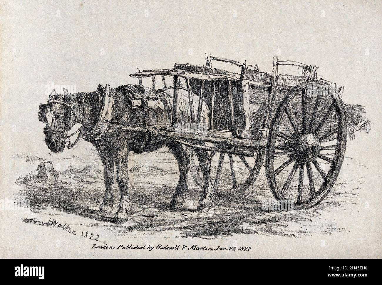 A bridled and blinkered horse standing hitched to its cart. Chalk ...