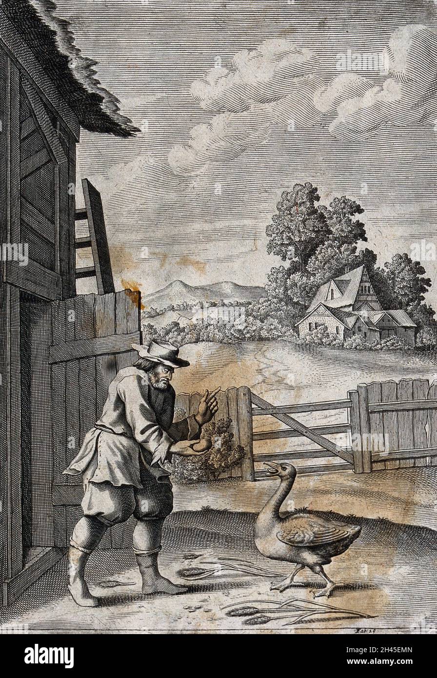 A peasant is showing a goose a large egg; illustration for a fable ...