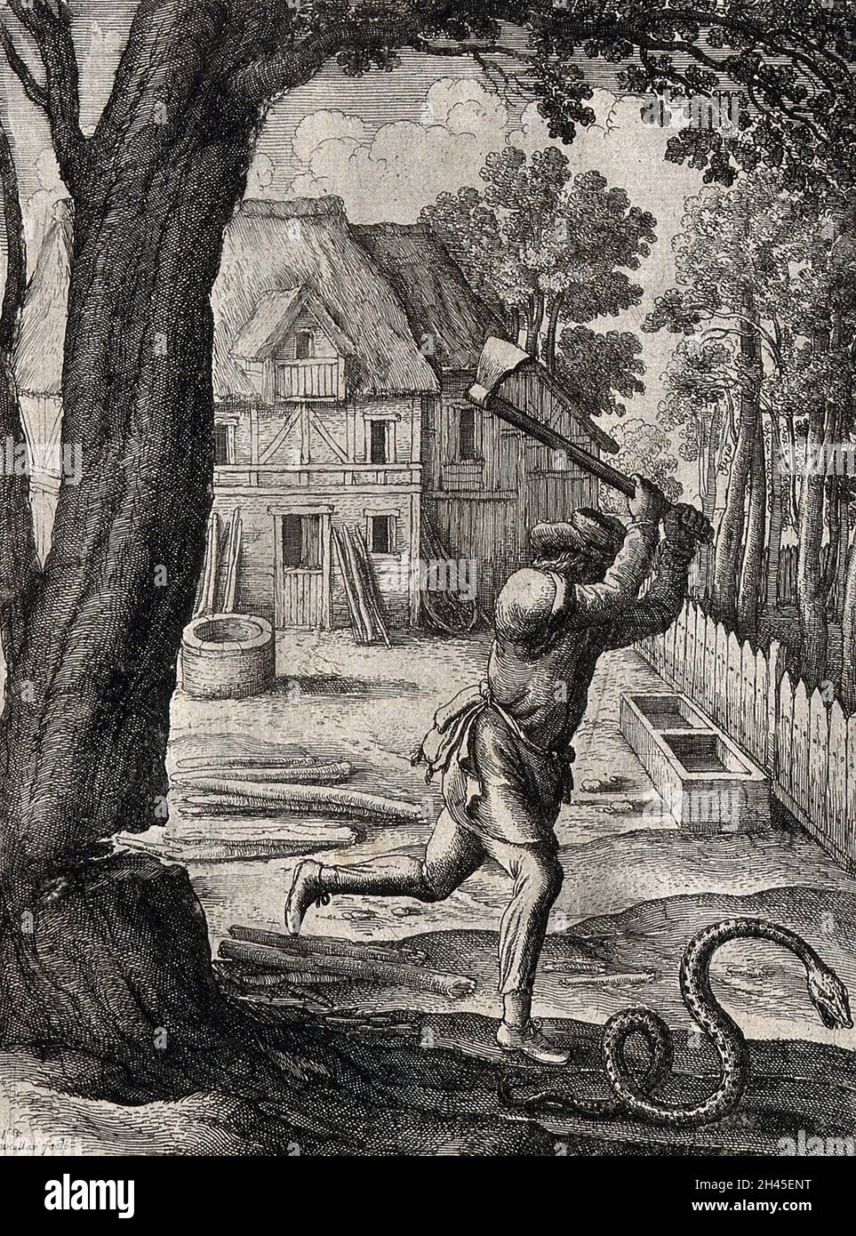 A peasant who was cutting down a tree turns his axe on a passing snake ...