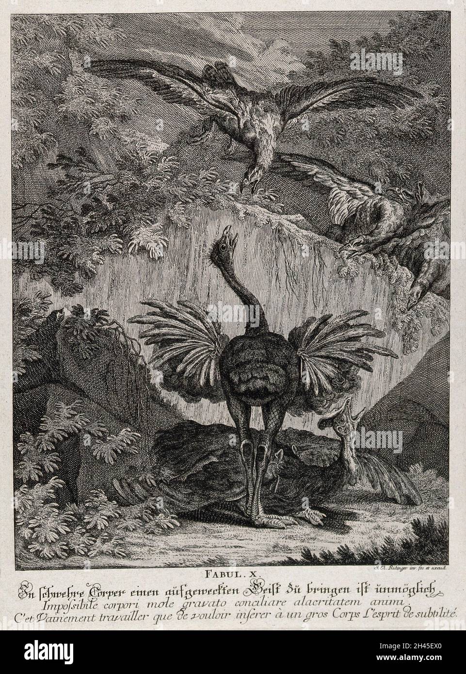 An old ibex is dancing in an unrestrained manner with a crowd of wild ...