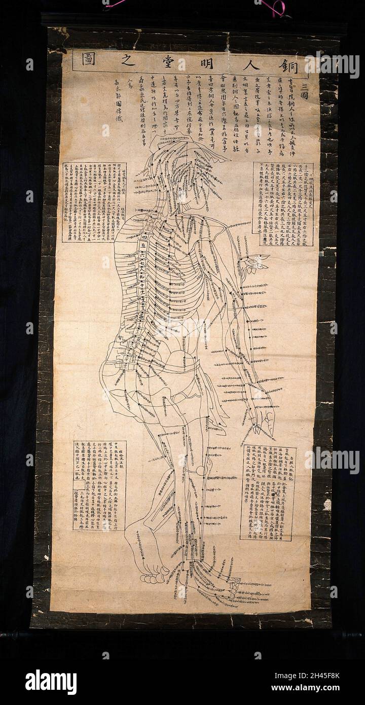 Acupuncture/pressure points on the body seen in profile to right ...