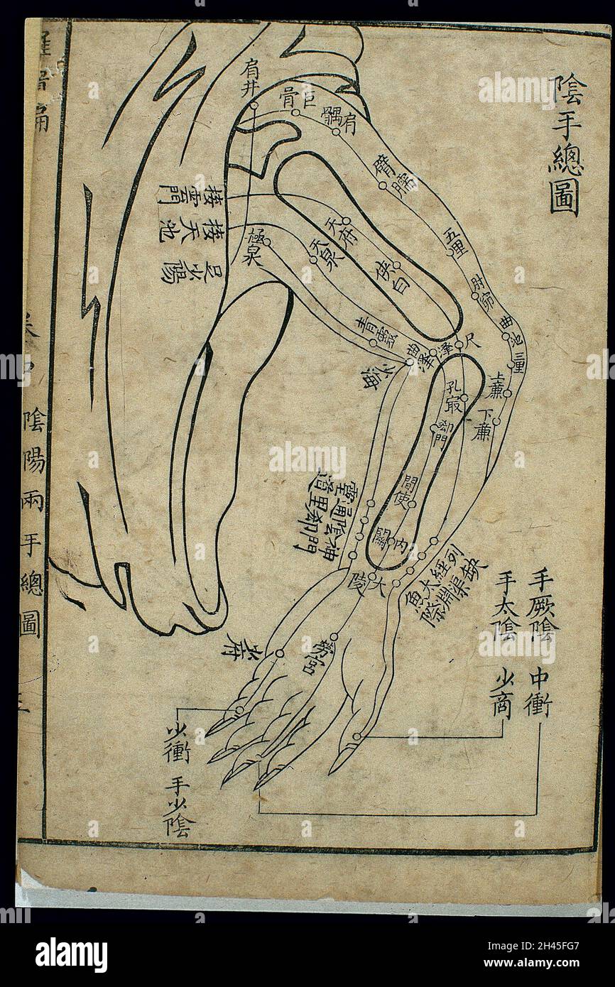 Three hand yin channels and their acupoints, general chart Stock Photo ...