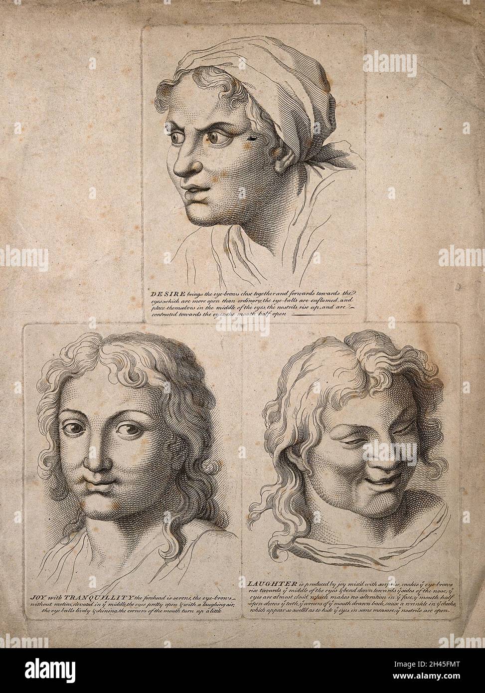 Bottom three faces hi-res stock photography and images - Alamy