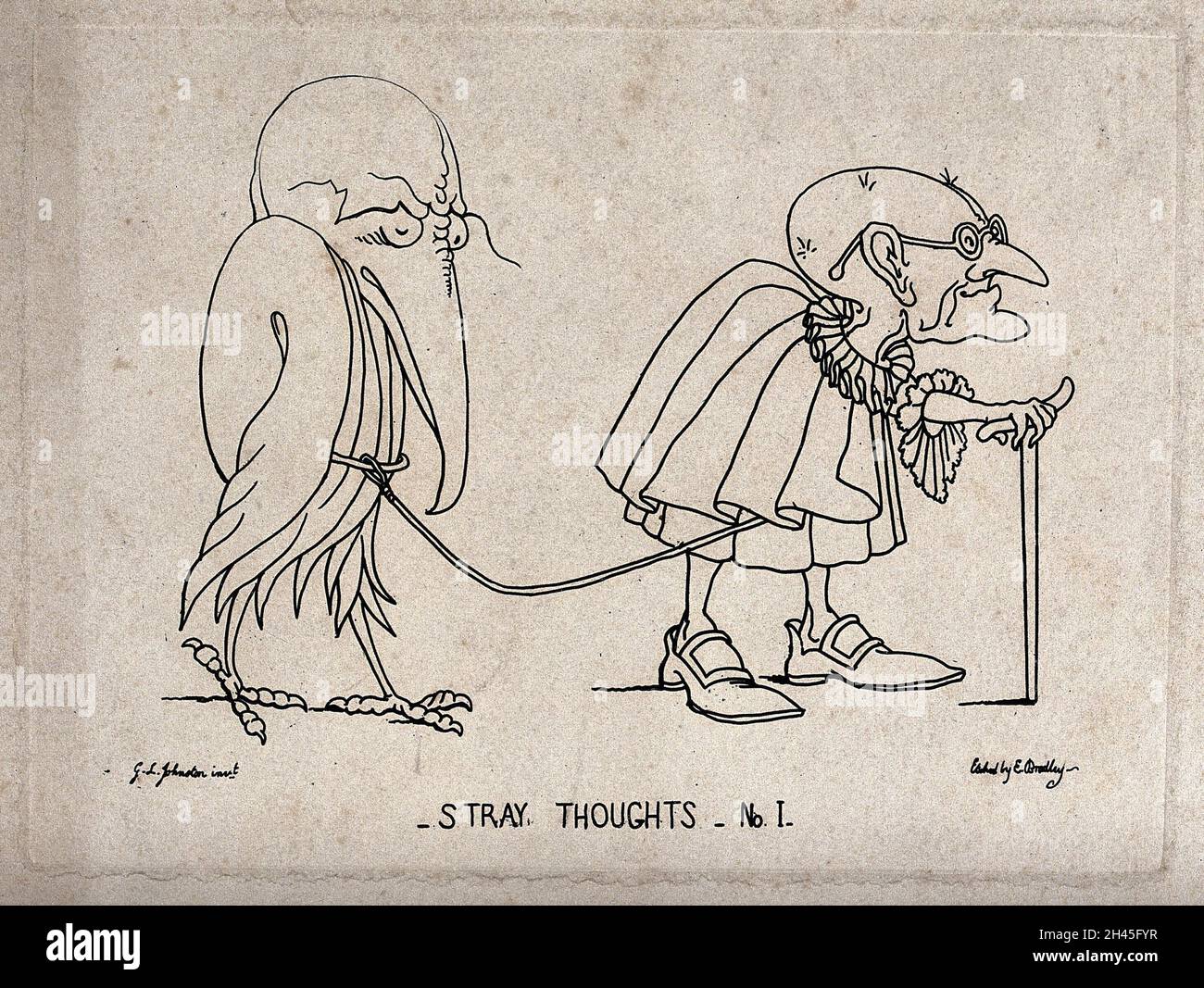 An old man with a walking stick is holding a bird with a long beak on a ...