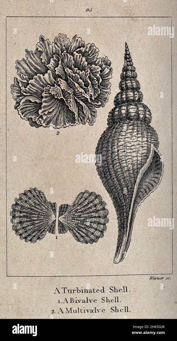 Multivalve hi-res stock photography and images - Alamy