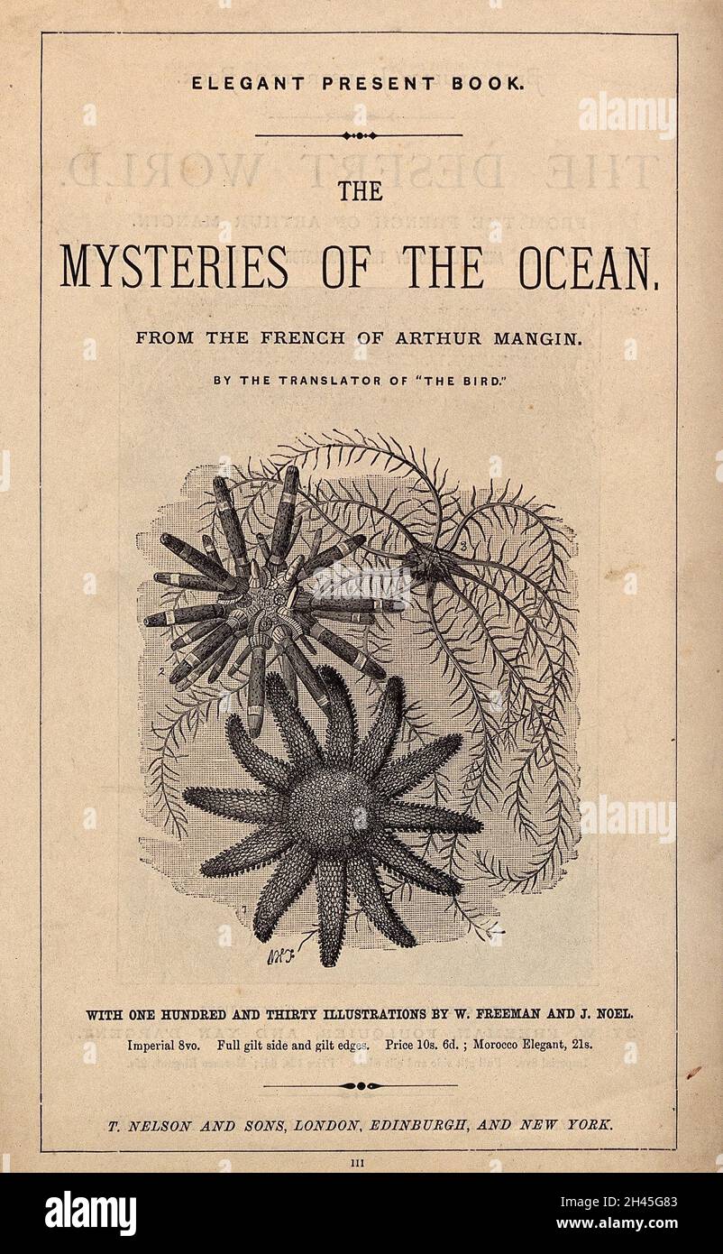 Three sea-creatures. Wood engraving Stock Photo - Alamy