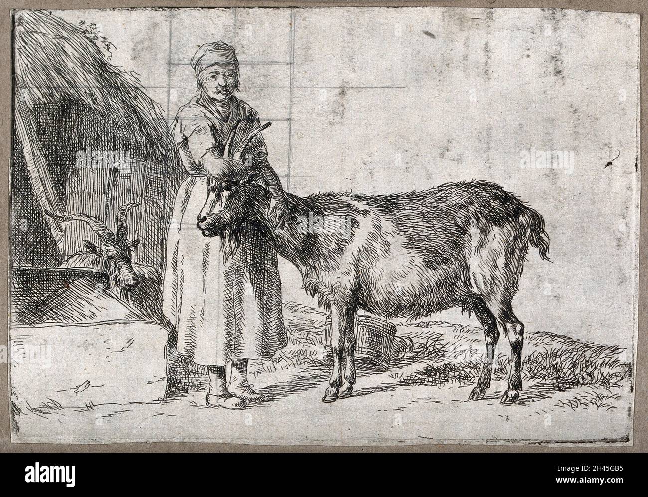 A peasant woman tending a goat. Etching Stock Photo - Alamy
