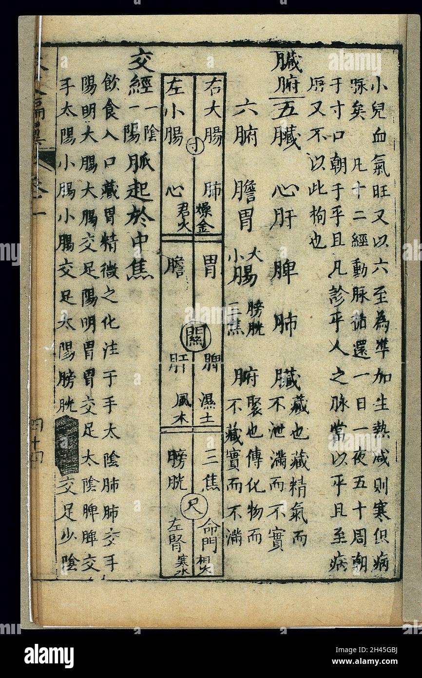 Wrist pulse diagnosis table for zang and fu viscera, Chinese Stock ...