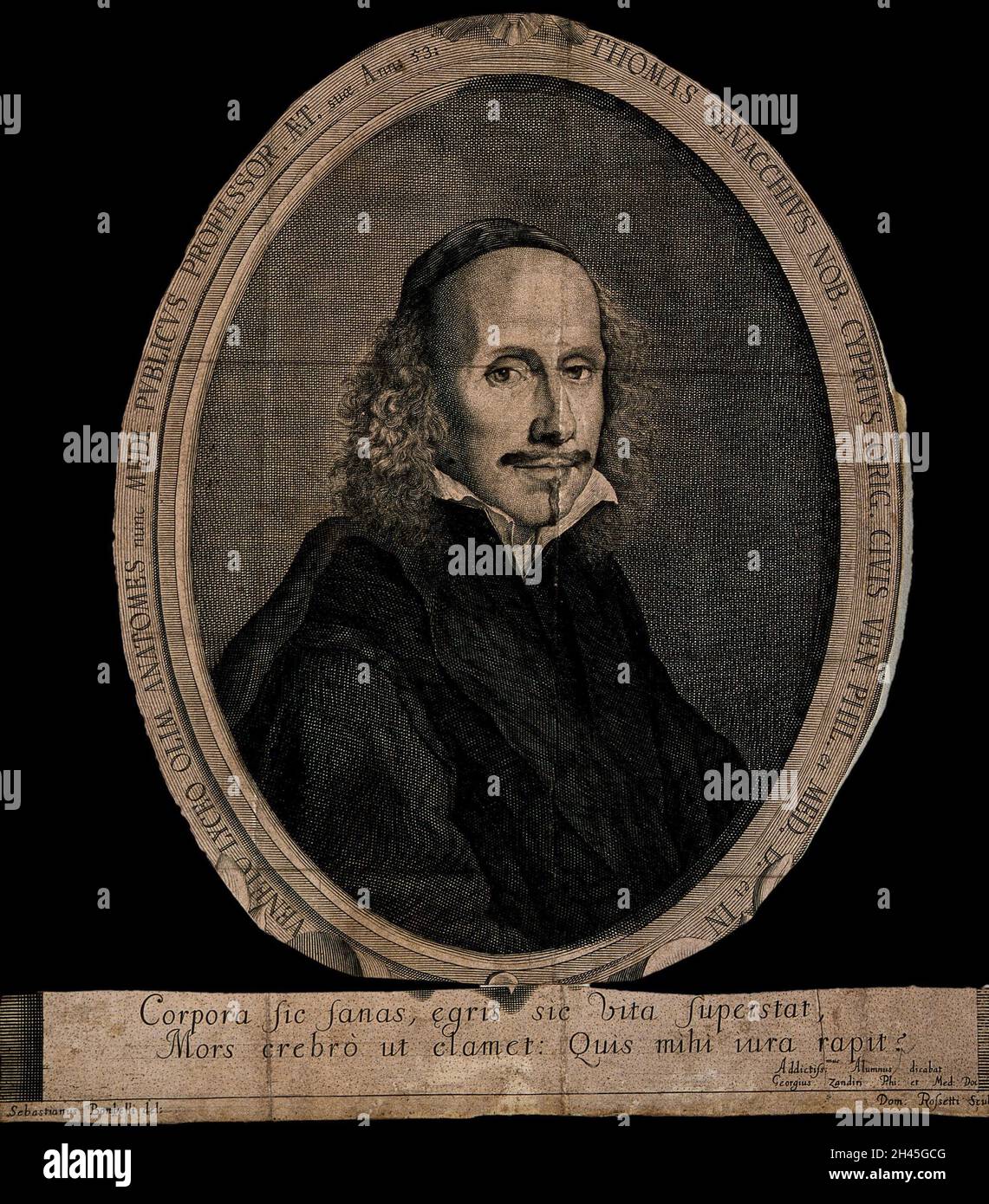 Bombelli High Resolution Stock Photography and Images - Alamy