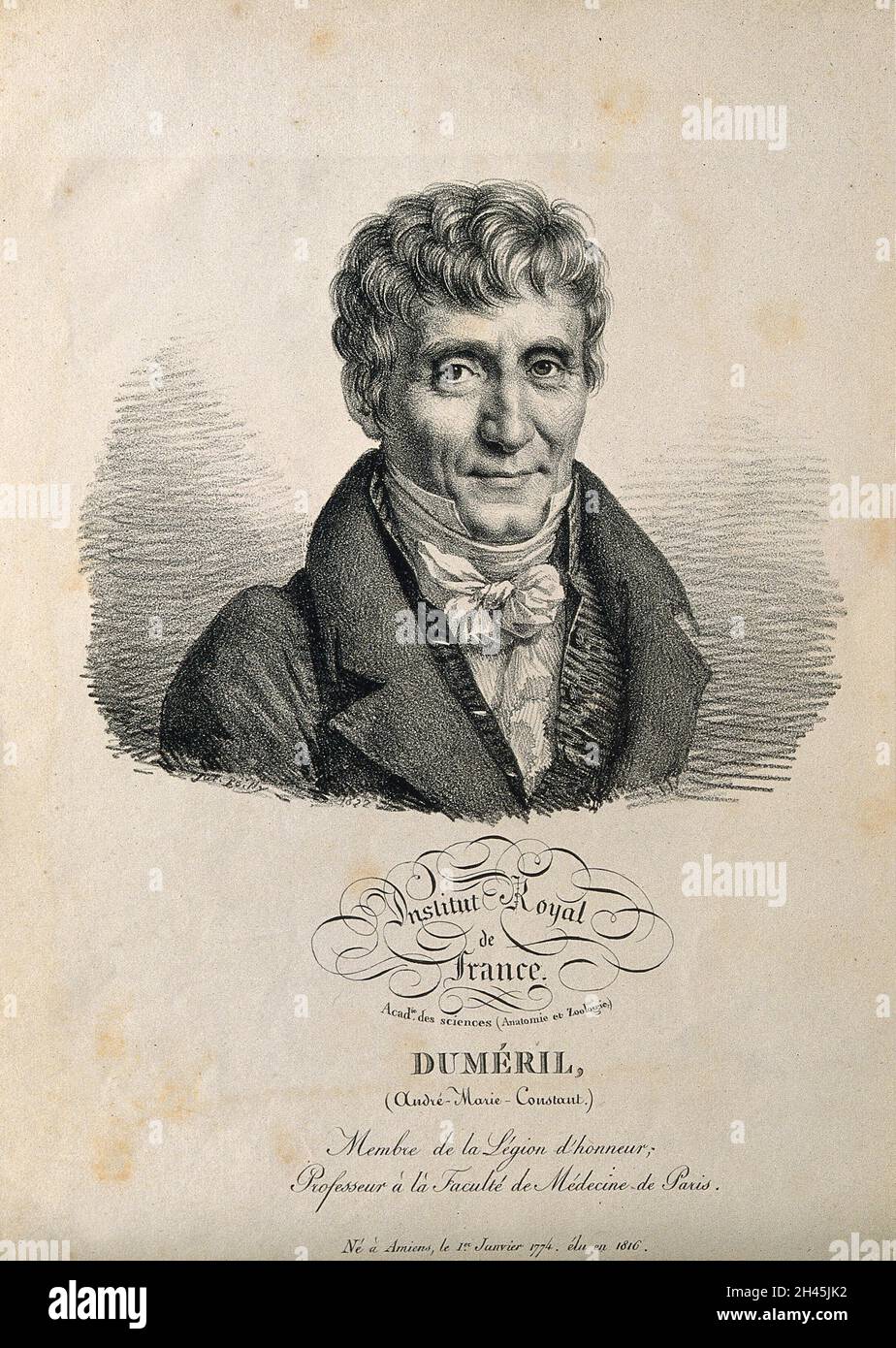 Andre marie constant hi-res stock photography and images - Alamy