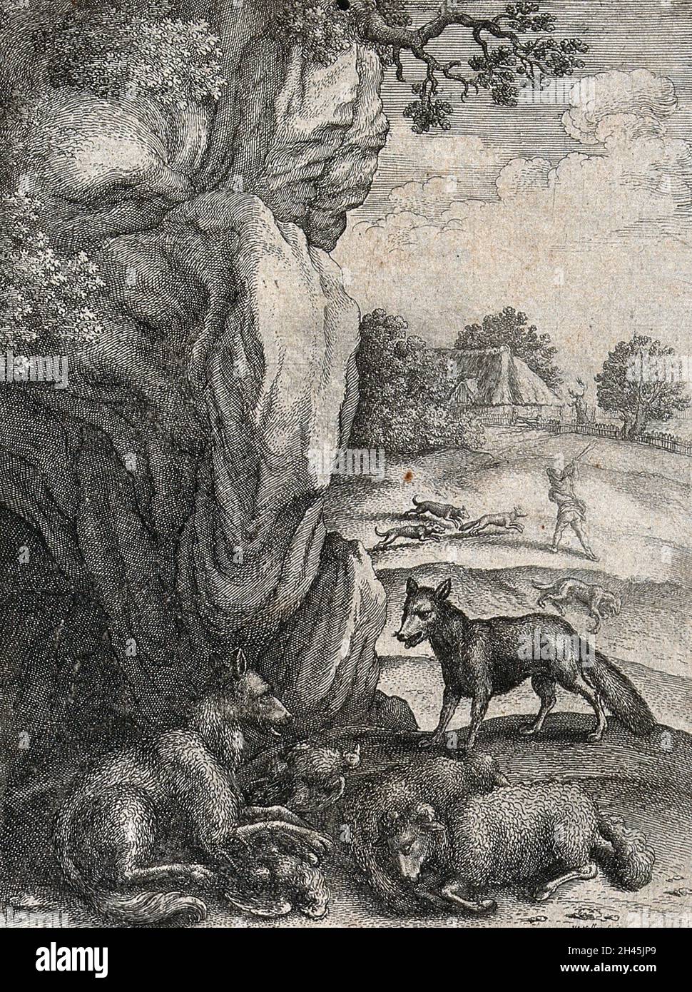 A fox is facing a wolf outside its lair surrounded by its prey while in ...