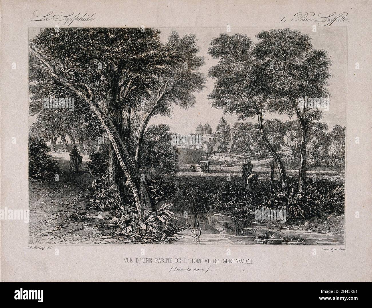 Greenwich, with trees in the foreground, London in the distance ...