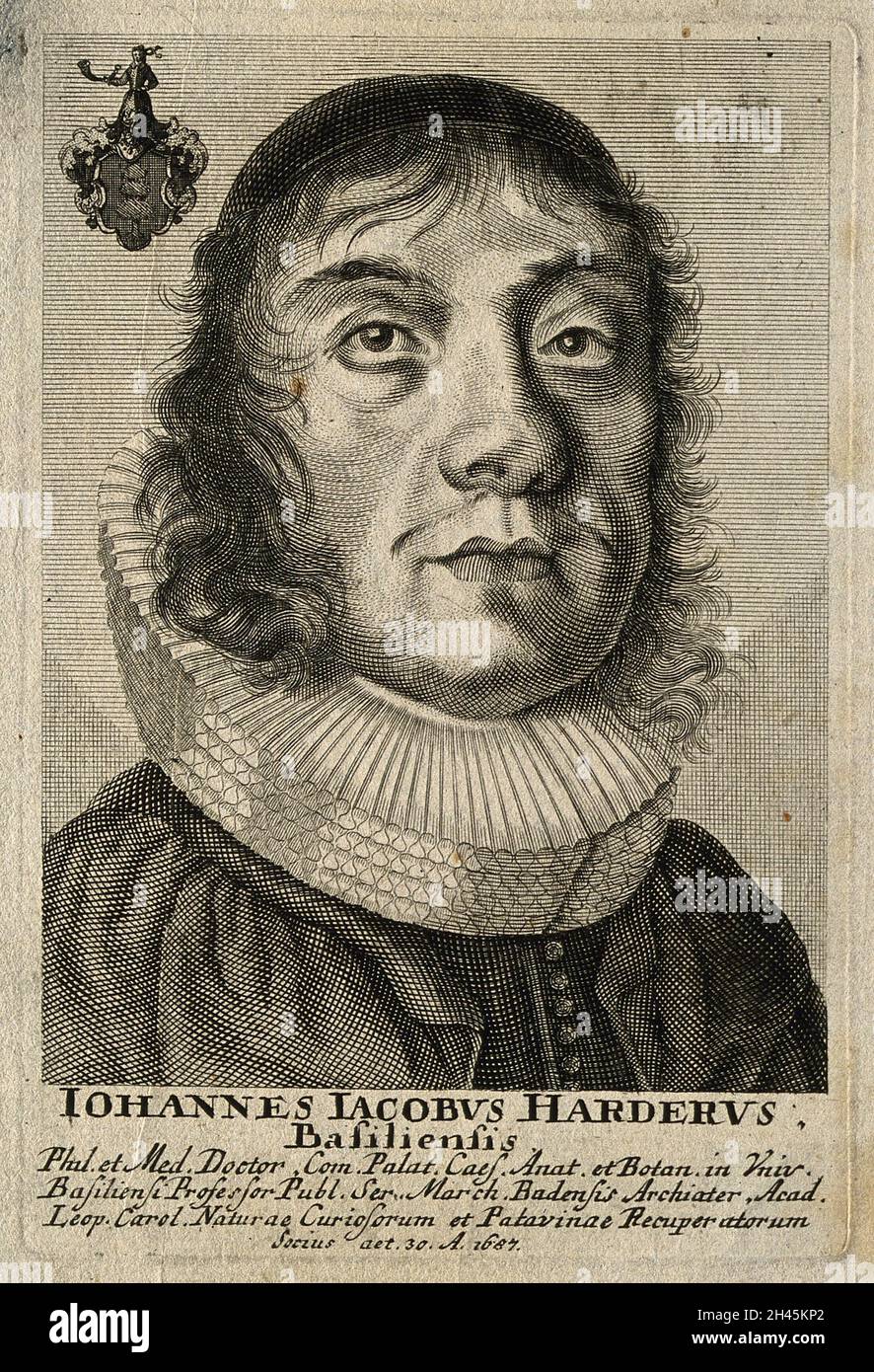Johann Jakob Harder. Line engraving, 1687 Stock Photo - Alamy