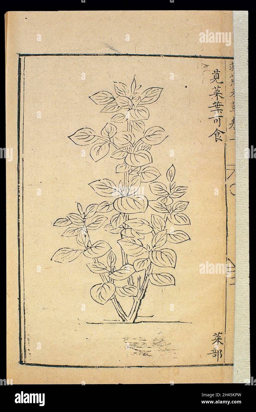 Food relief ancient hi-res stock photography and images - Alamy