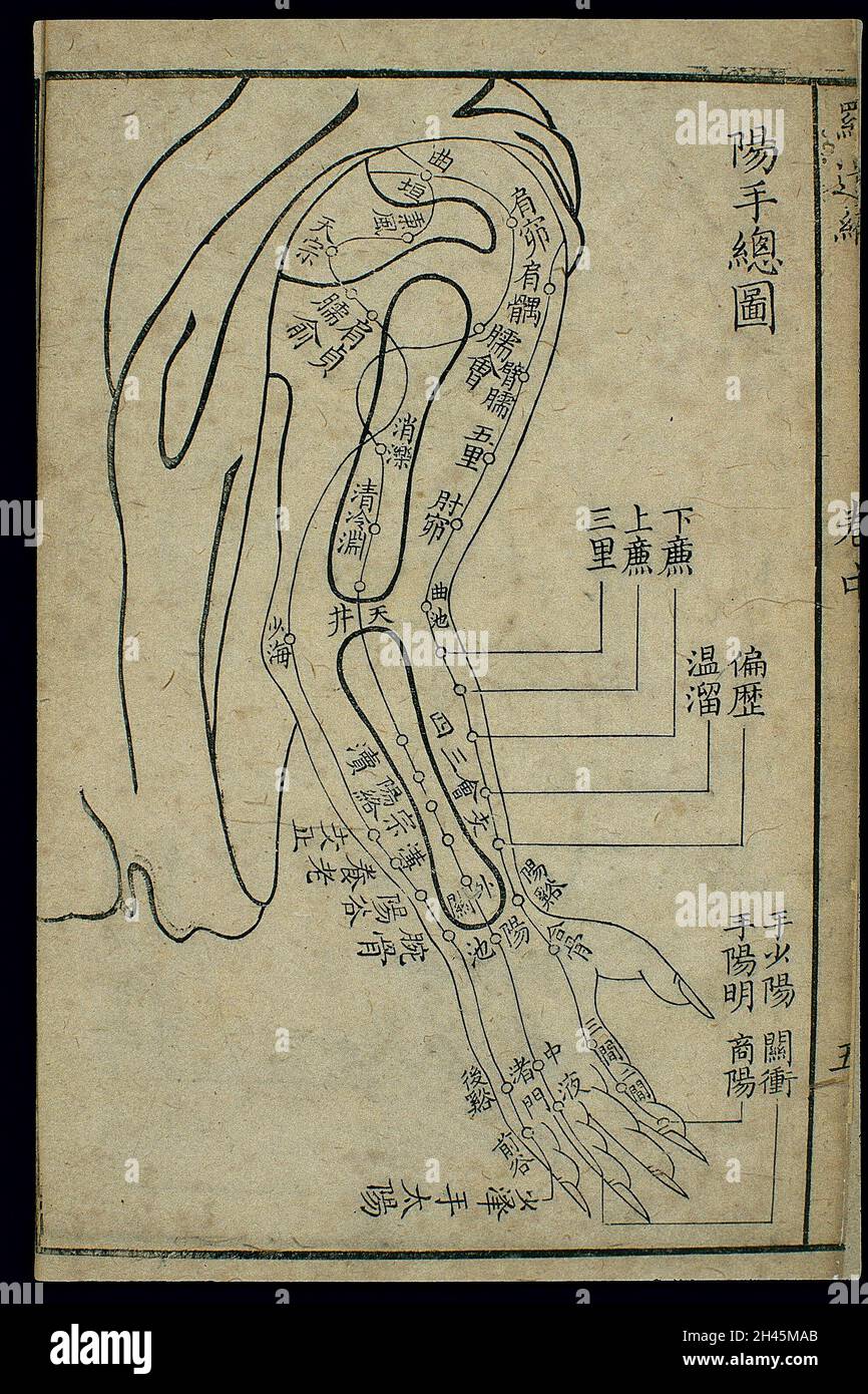 Three hand yang channels and their acupoints, general chart Stock Photo ...