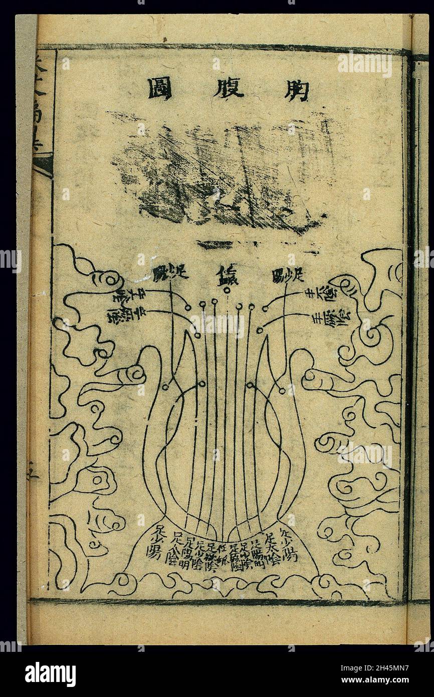 Channel chart, thorax and abdomen, Chinese woodcut Stock Photo - Alamy