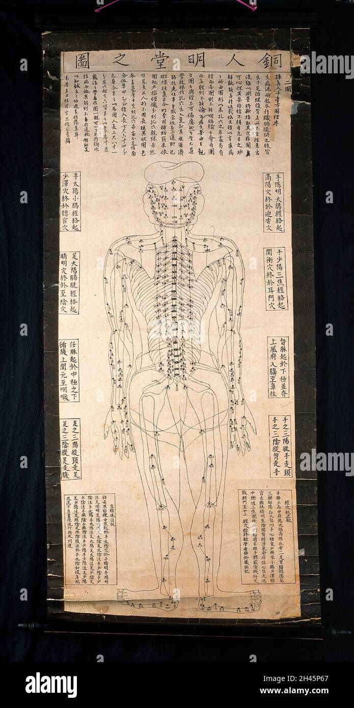 Acupuncture/pressure points on the back of the body (spinal pressure ...