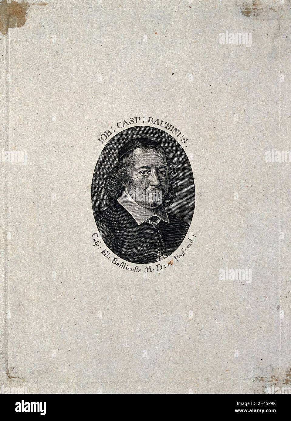 Johann bauhin hi-res stock photography and images - Alamy