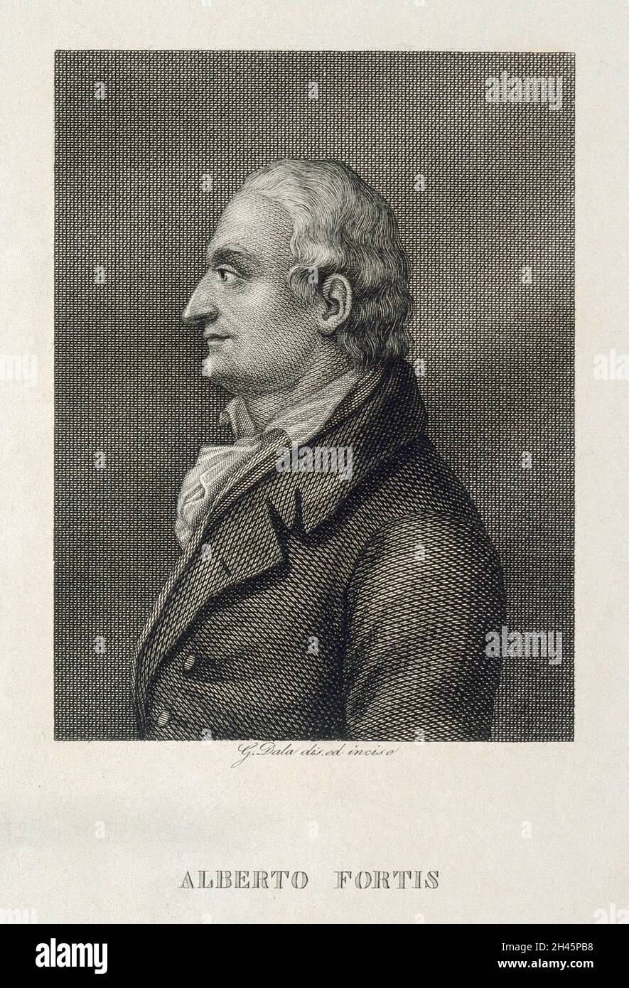 Alberto fortis hi-res stock photography and images - Alamy