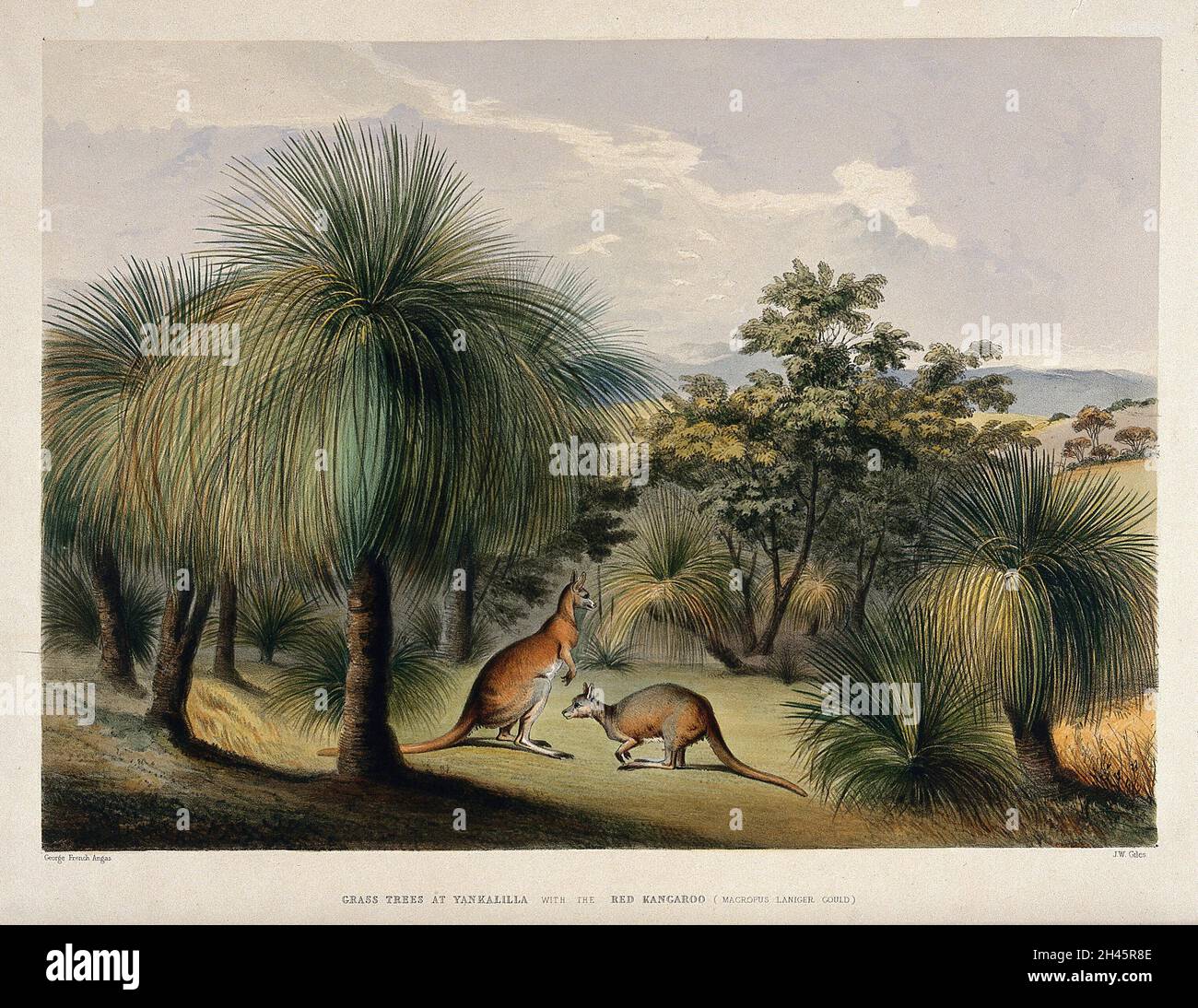 J w giles hi-res stock photography and images - Alamy