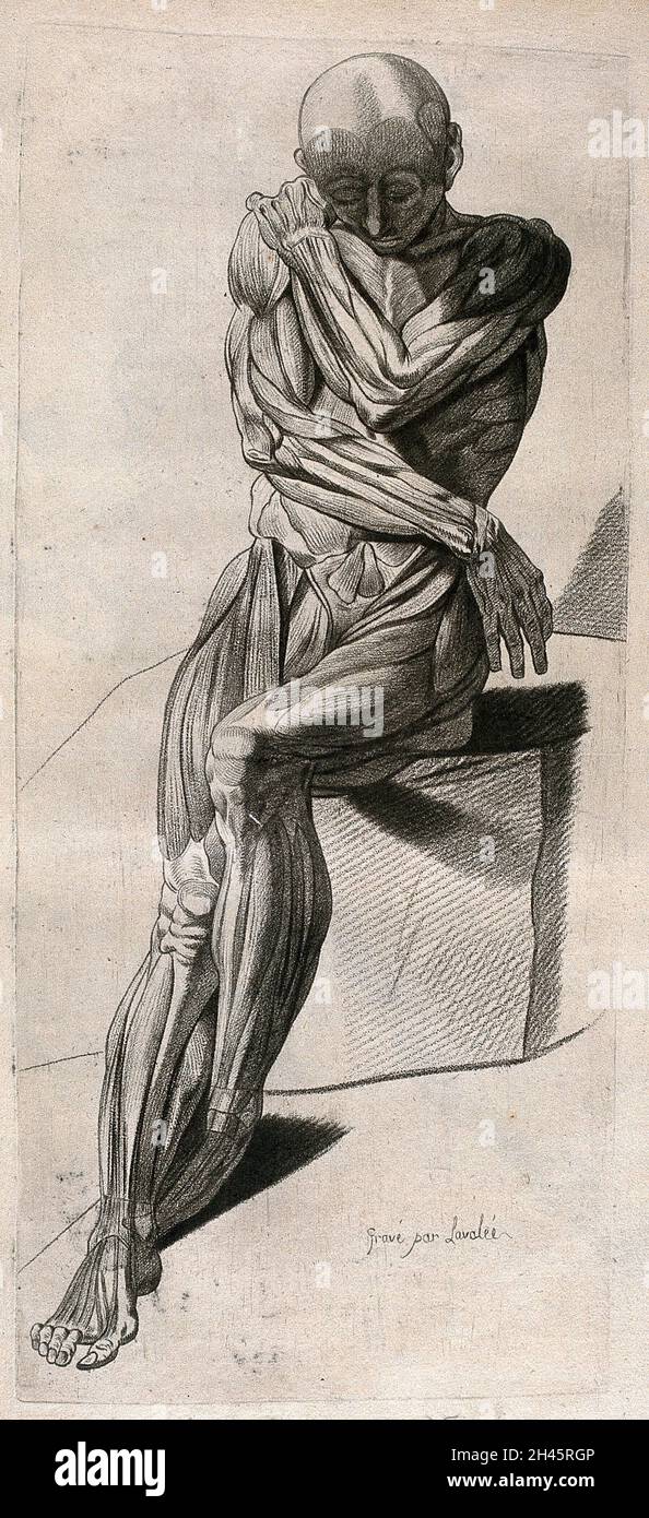 A seated écorché figure, shown with crossed arms and feet. Crayon ...