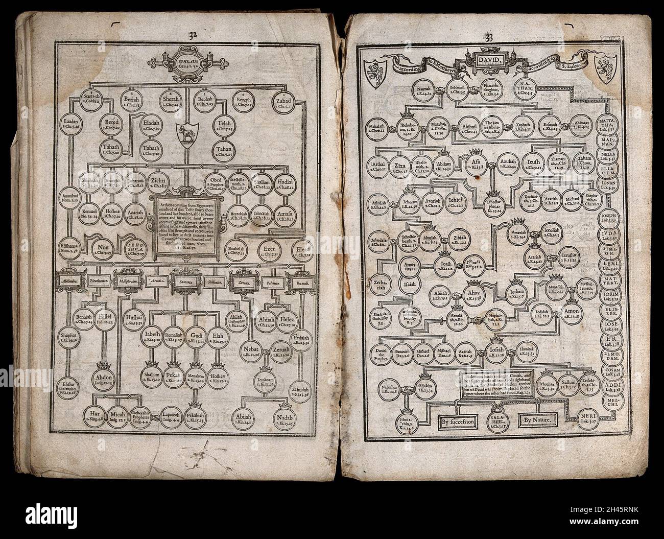 Genealogical tables of Ephraim and David. Etching, c. 1700 Stock Photo ...