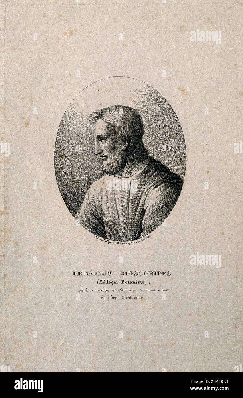 Pedanios dioscorides hi-res stock photography and images - Alamy
