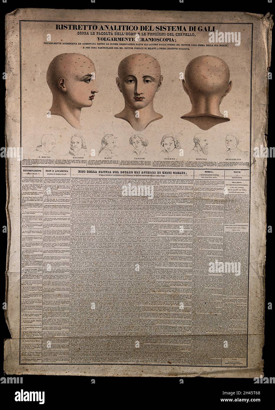 Phrenological chart with three figures of a head and sketches of the ...
