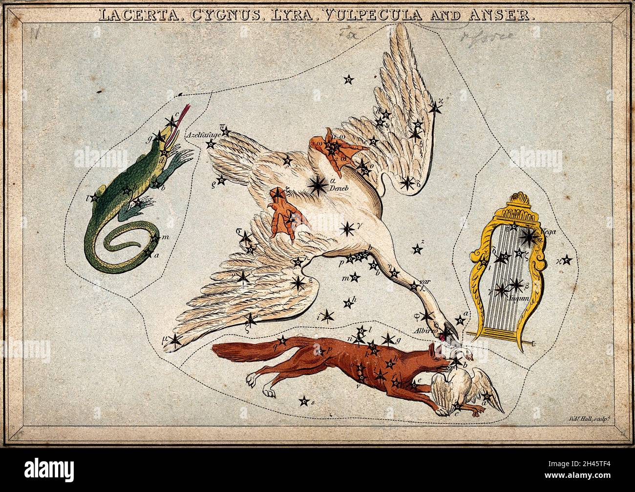 Astrology: various constellations. Coloured engraving by S. Hall Stock ...