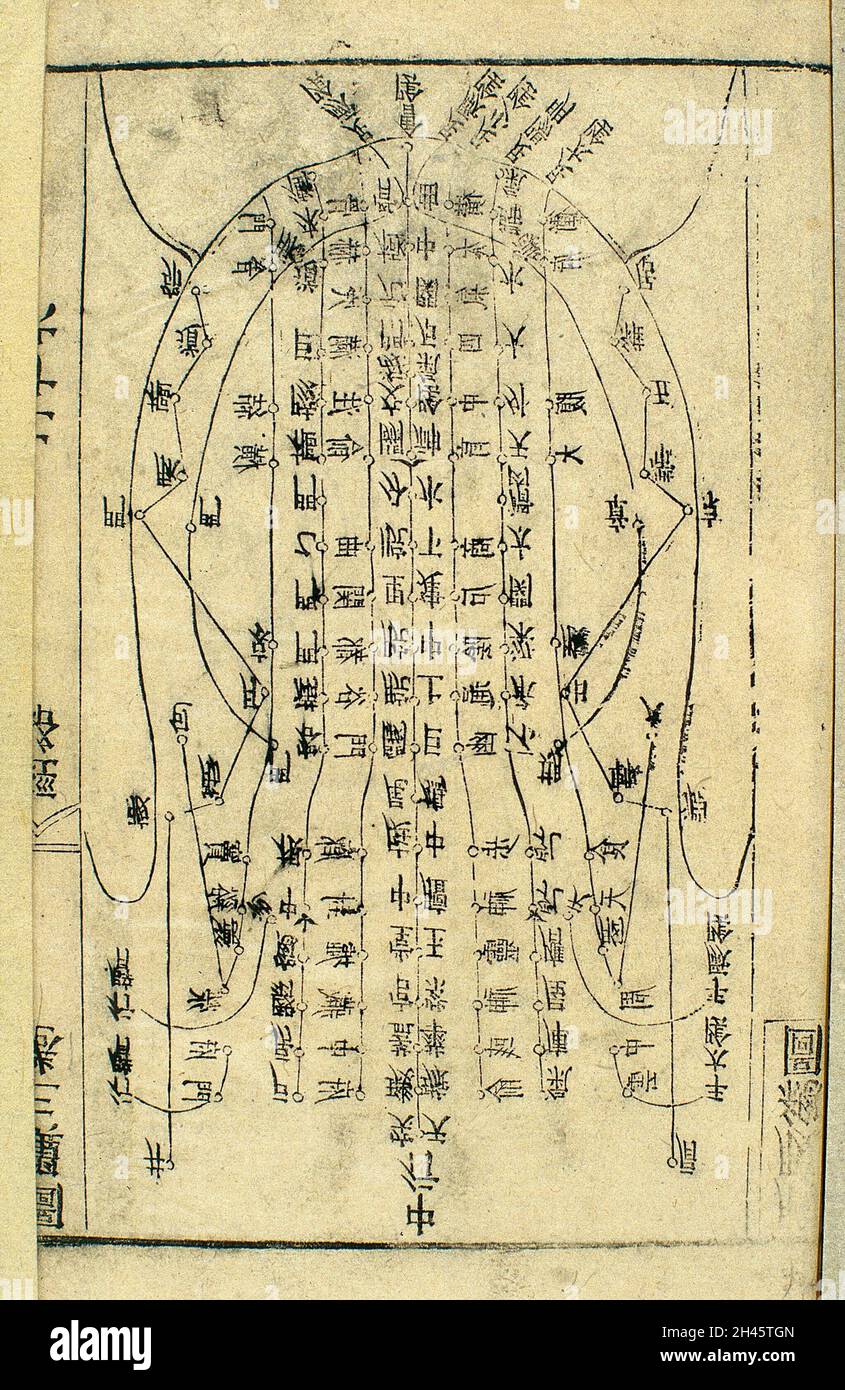 Acupuncture chart of chest and abdomen, 17th C. Chinese Stock Photo - Alamy
