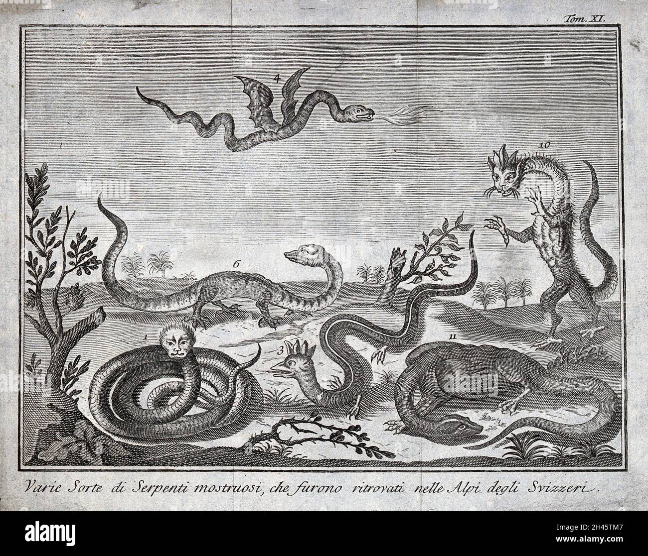 A variety of serpents and monstrous animals alleged to inhabit the ...
