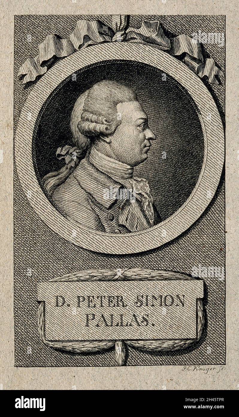 Engraving Pallas High Resolution Stock Photography and Images - Alamy