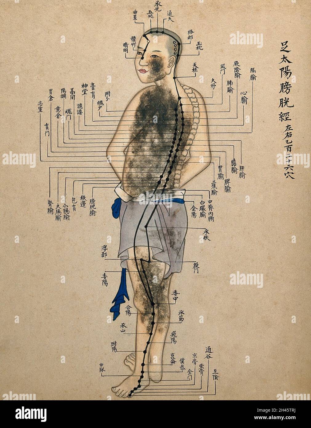 Acupuncture chart with a series of points indicated on the figure of a ...