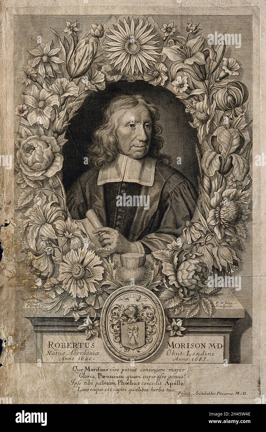 Robert Morison. Line engraving by R. White, 1680, after W. Sonmans ...