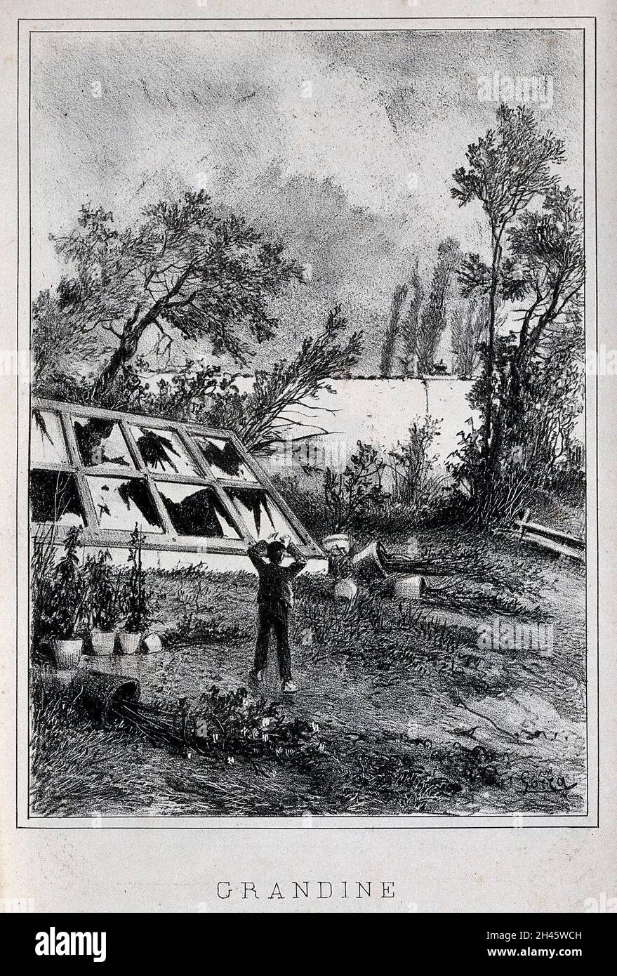 A man is standing in front of a glass-house destroyed by hail ...