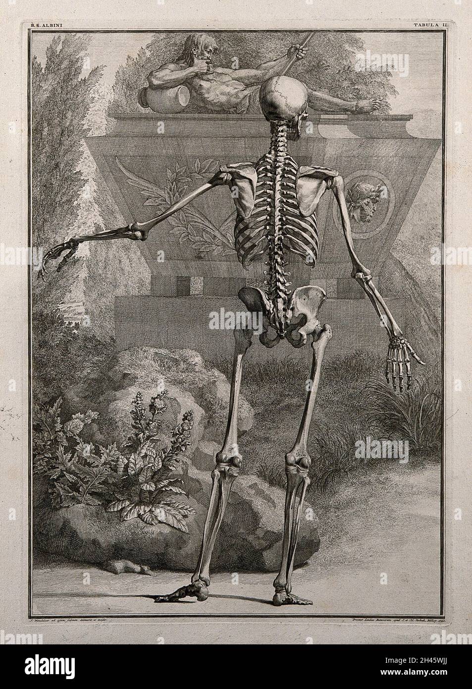 A skeleton, back view, standing with left arm extended, with a tomb ...