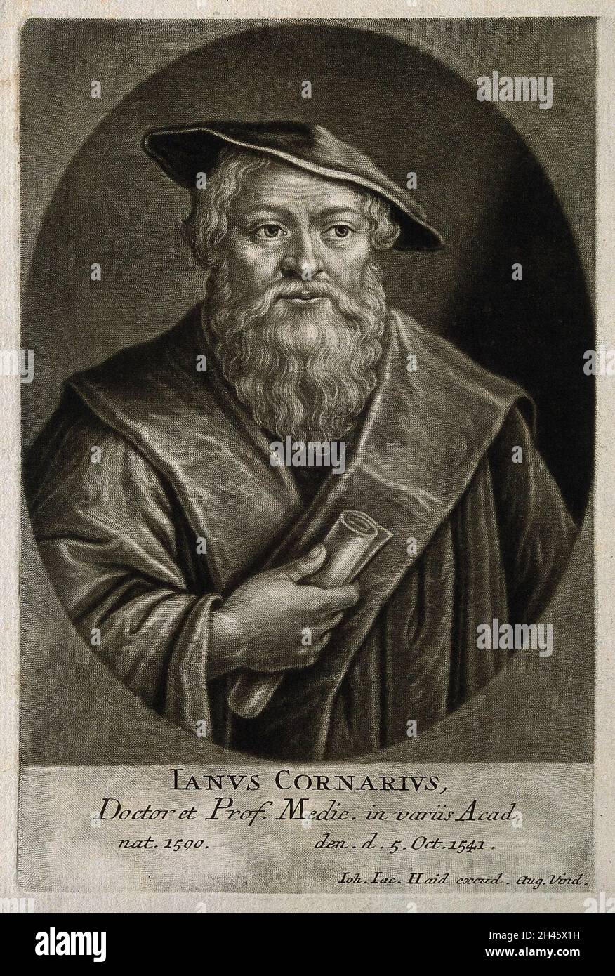 Cornarius hi-res stock photography and images - Alamy