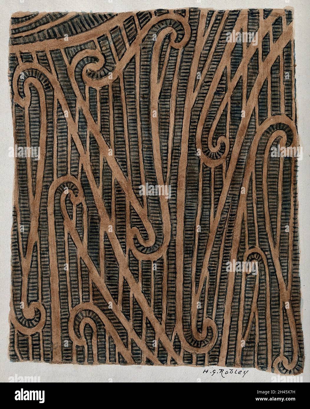Puhoro: tracing of the chisel cuts used in a Maori design of tattooing ...
