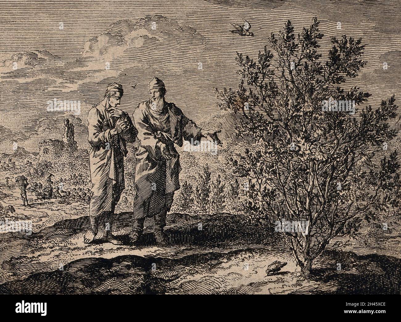 Christ tells an apostle how a mustard seed grows into a tree. Etching ...