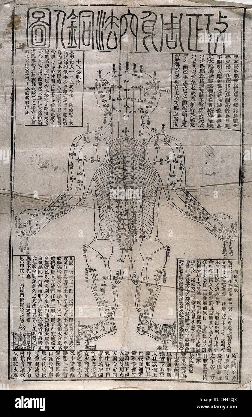 Back view of human body, showing a circulatory system and nodes for ...