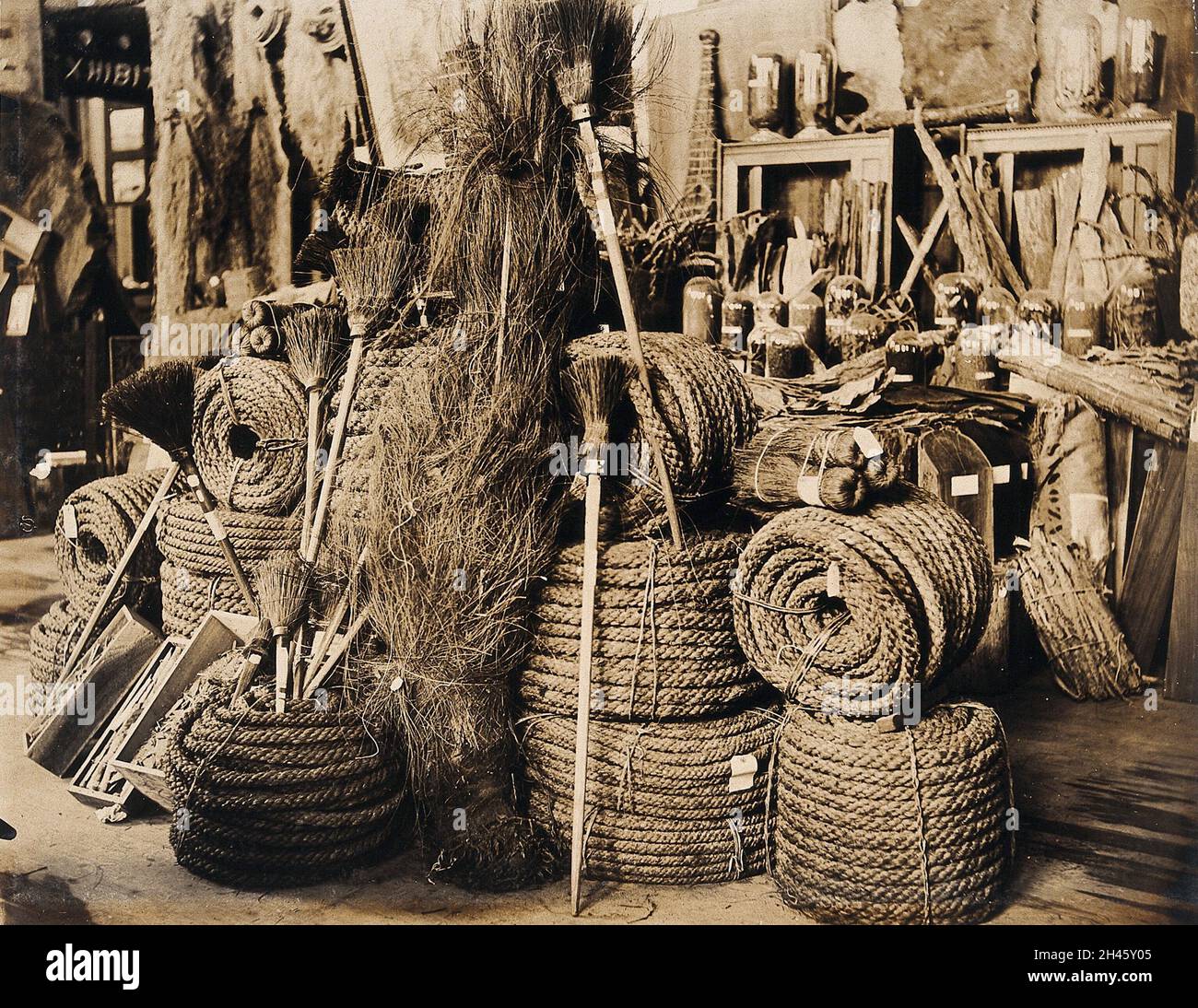 The 1904 World's Fair, St. Louis, Missouri: a Brazilian agricultural ...